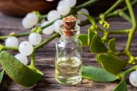 Mistel: Steckbrief, Wirkung und Anwendung der Heilpflanze