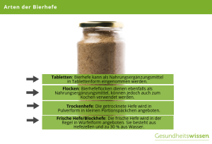 Bierhefe – förderliche Wirkung, Inhaltsstoffe und Anwendung