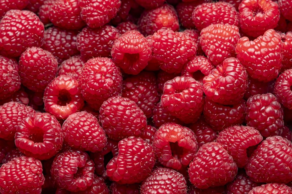 Sind Himbeeren gesund? Viatmine und Wirkung der Himbeere