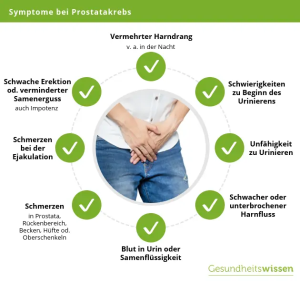 Prostatakrebs: Ursachen, Symptome, Diagnose & Behandlung | Alle Infos